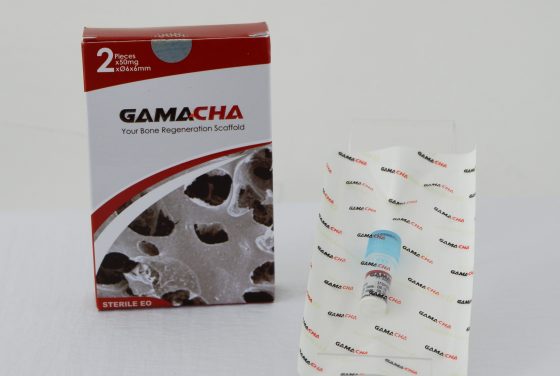 D7 – MUSEUM – UGM