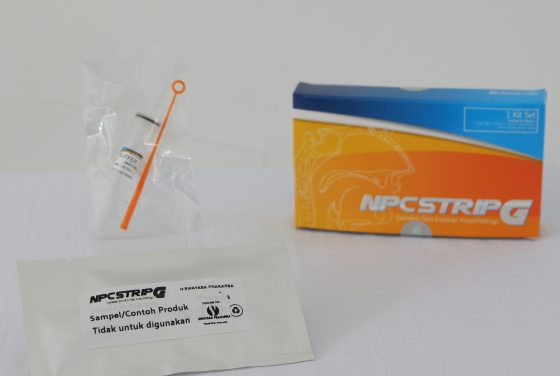 D7 – MUSEUM – UGM